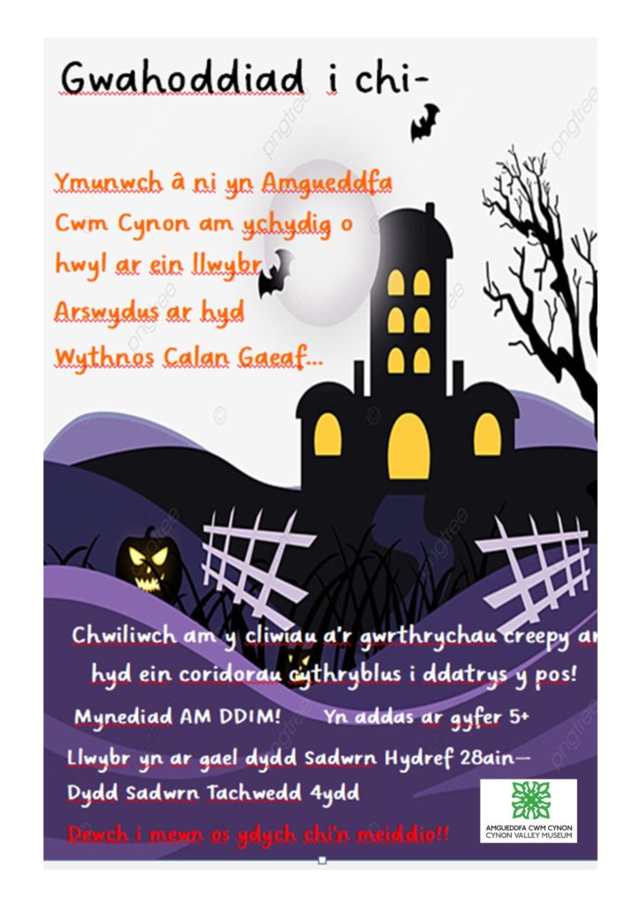 - Cynon Valley Museum Trust